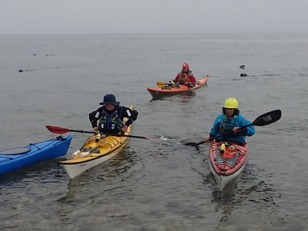 Sea Kayak Paddle from Hangman’s Point to Puffin Island in A Scenic ...